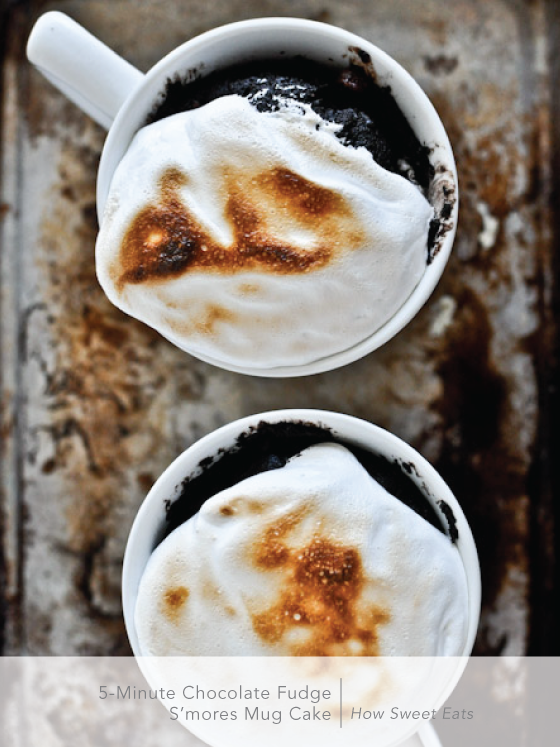 5-Minute-Chocolate-Fudge-S’mores-Mug-Cake-Design-Crush - Design Crush