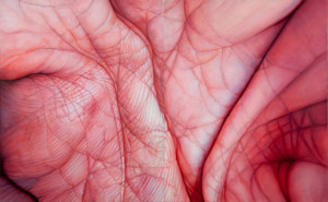 Edie Nadelhaft / Flesh - Design Crush