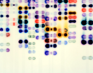 Jaq Chartier - Design Crush