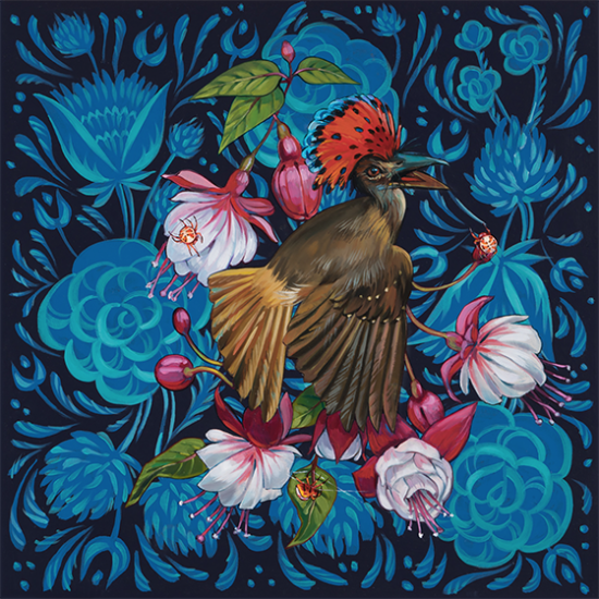 Ashley Cecil - Design Crush